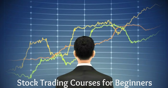 How to Find the Best Stock Trading Courses for Beginners? - WaveMetric