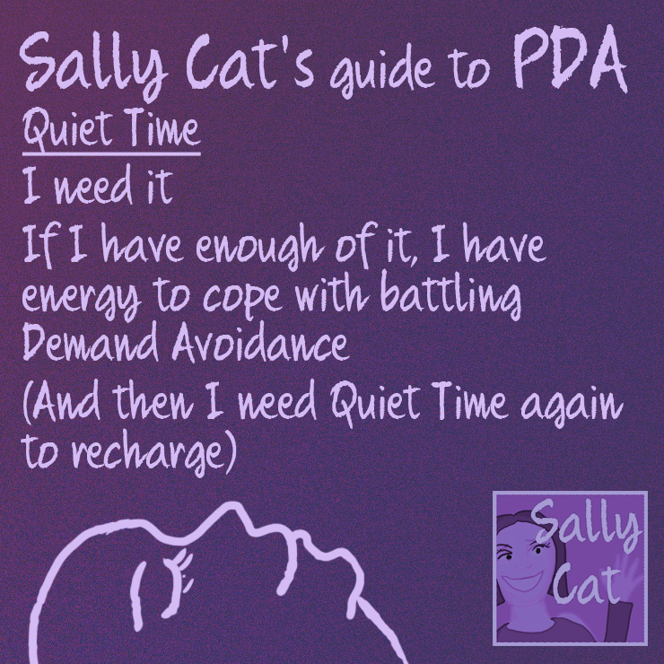 Sally Cat PDA: How I understand PDA (in language kids can understand)