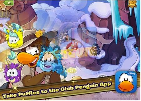 my blog: información de PUFFLE WILD