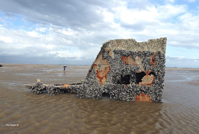 Pat Regan: The mysterious SS Chrysopolis, still holding her secrets in ...