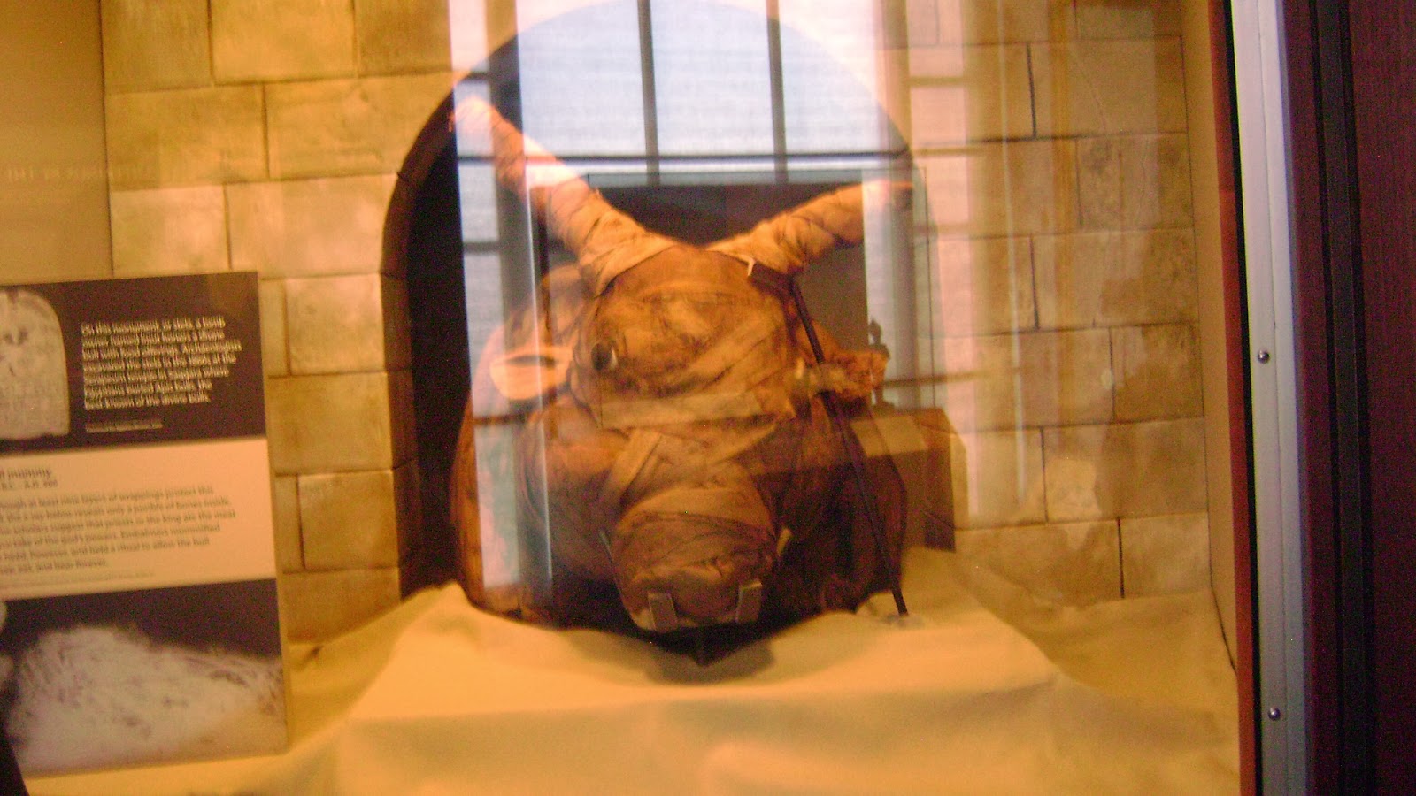 For the Love of Night at the Museum: Night #61 - Mummy Apocalypse