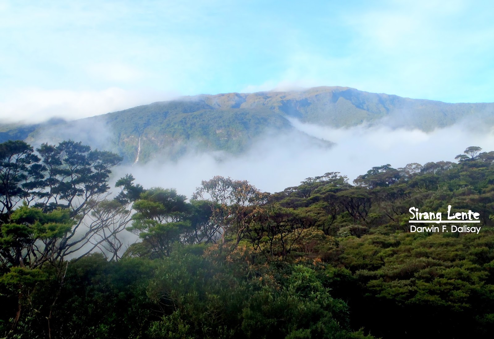 SIRANG LENTE: Mt. Halcon | Mindoro