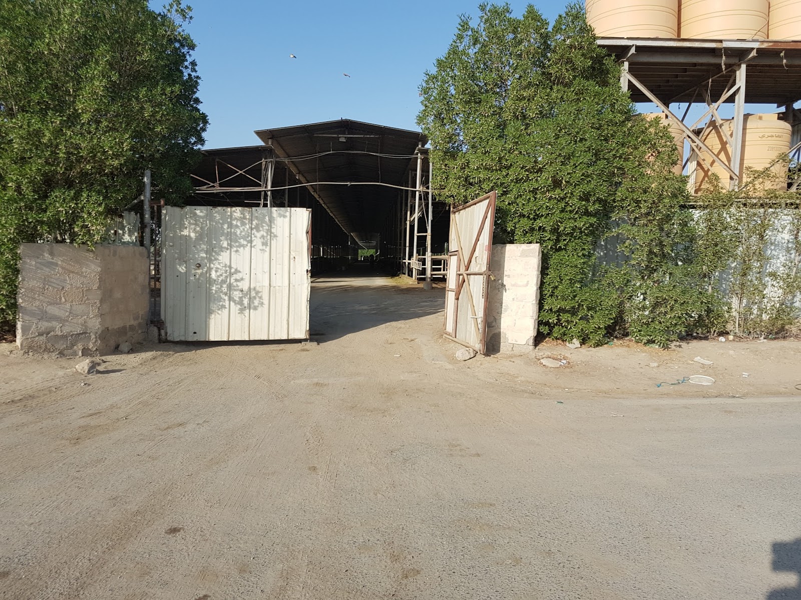 GAATEH KUWAIT (CYCLING): ROUTE 07: SULAIBIYA FARM