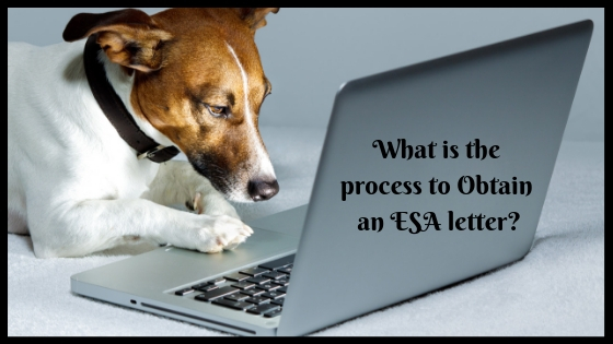 How to obtain ESA letter?
