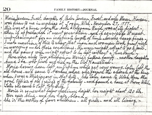 Stephen Signora Family: Andrew Janus Hansen Life History