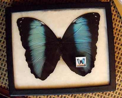 Kyle Lefort (the blog): Miniature Riker Mounts