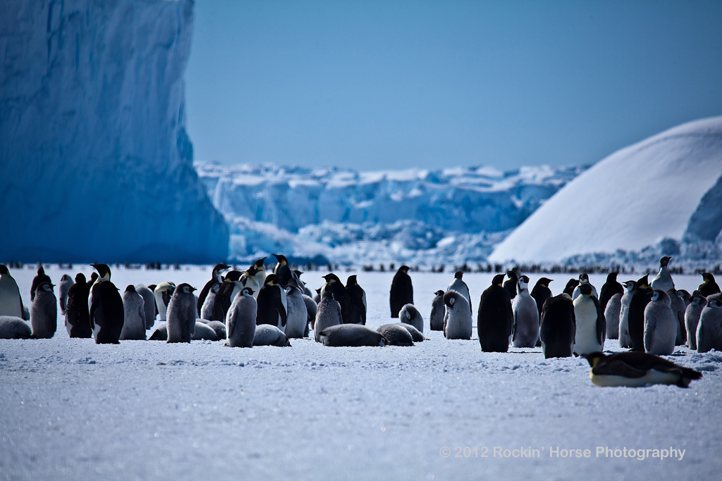 Antarctica - According to a Boilermaker Named Horse: Amanda Bay ...