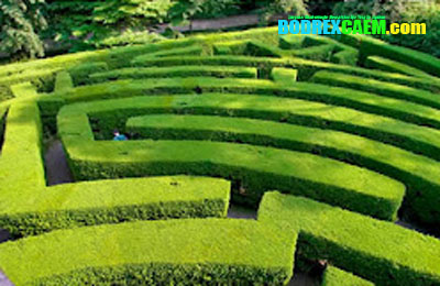 Inilah 10 Labirin Paling Rumit dan Menakjubkan di Dunia (Termasuk ...