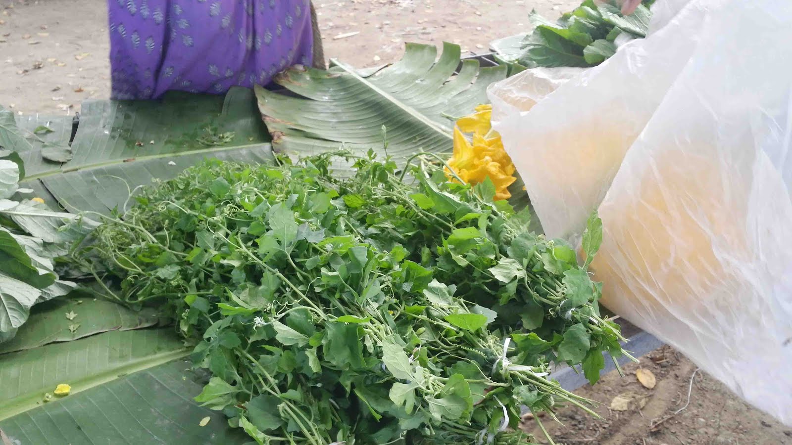 Pinoy In Papua New Guinea: Picnic in Pacific Adventist University