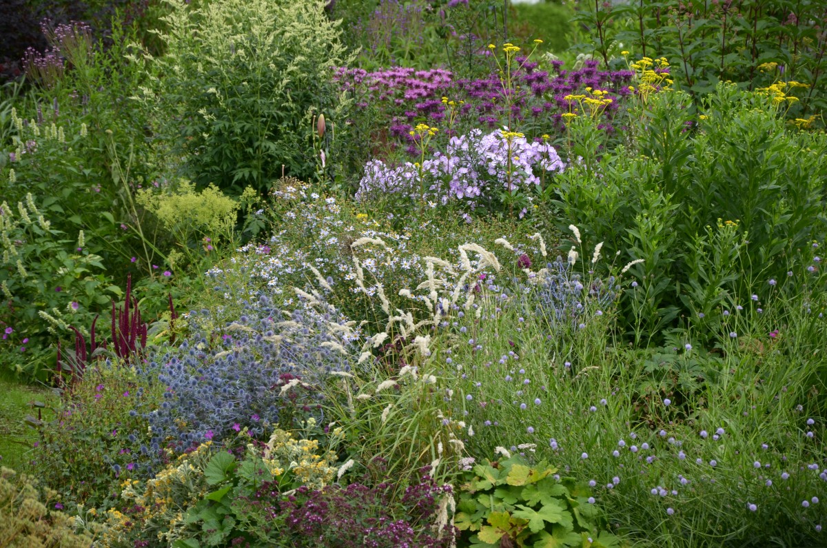 Storchschnabel und andere Stauden: Jahresserie (4) - Ein Staudenbeet im ...