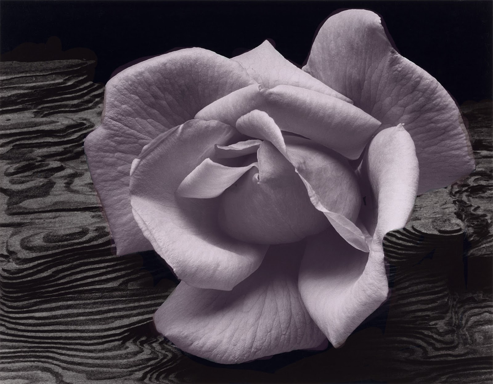 Color an Ansel Adams!