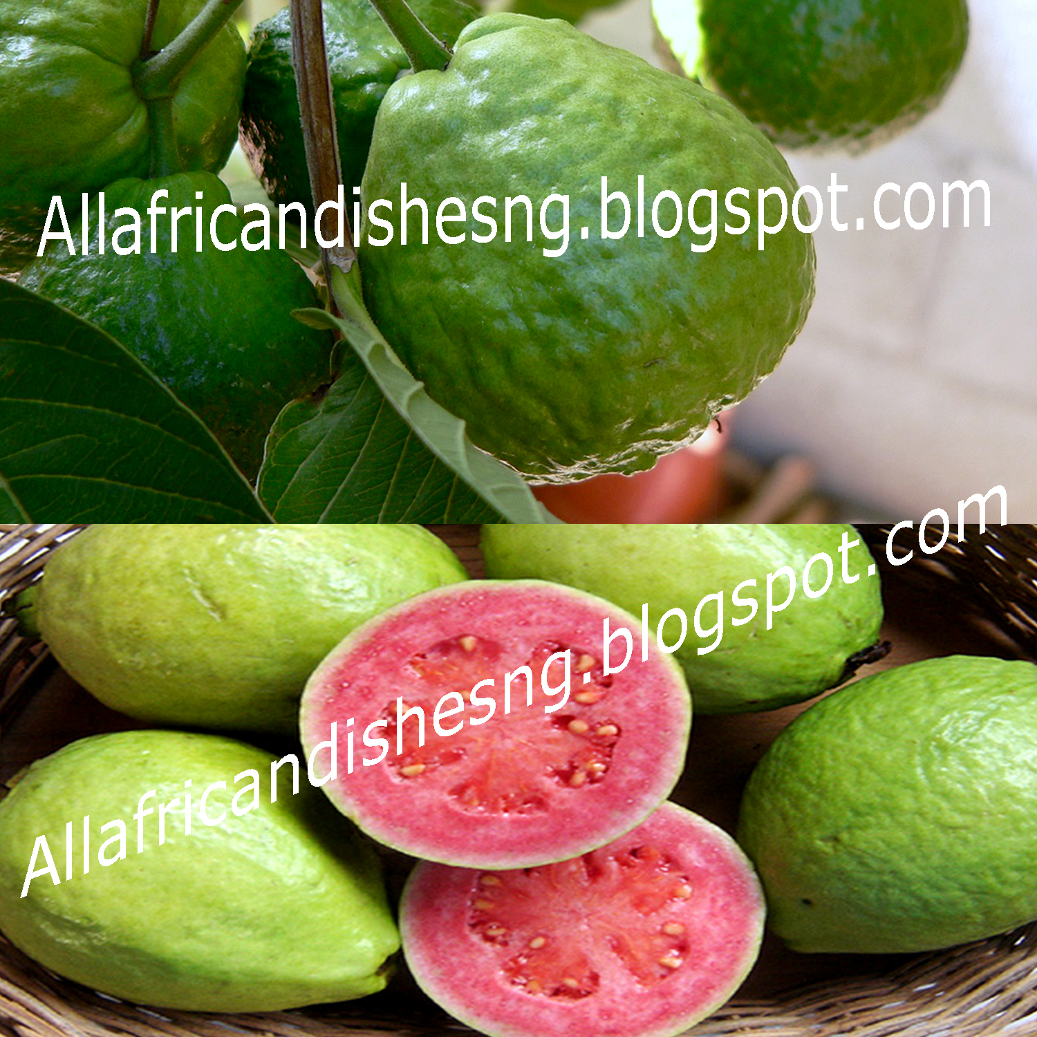 ALL AFRICAN DISHES: FRUIT CARE (GUAVA)