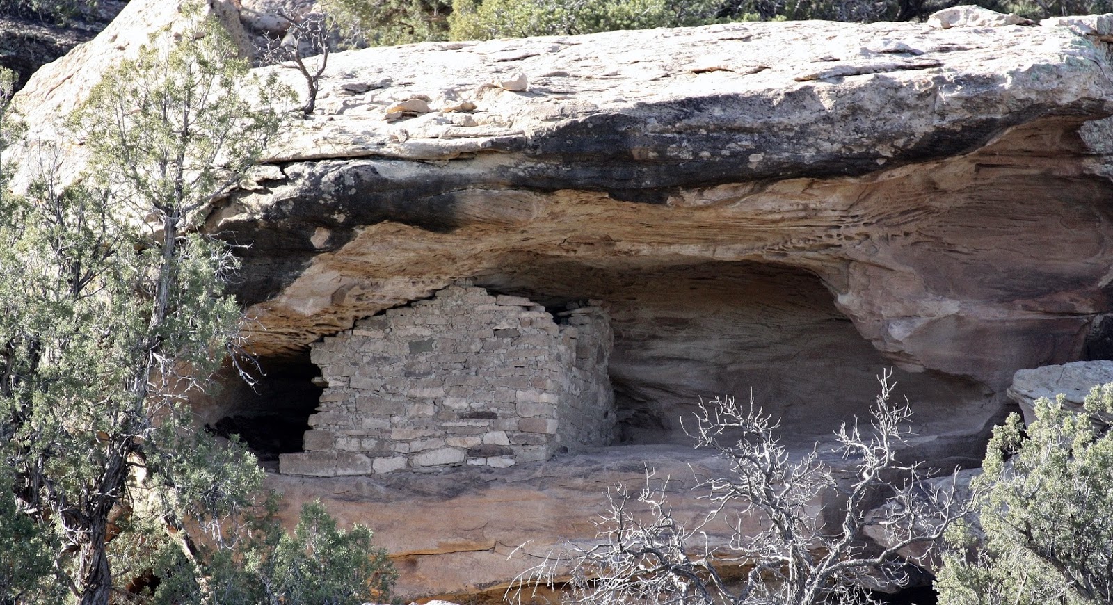 The Southwest Through Wide Brown Eyes: "Get Your Zen On" at Bug Point.