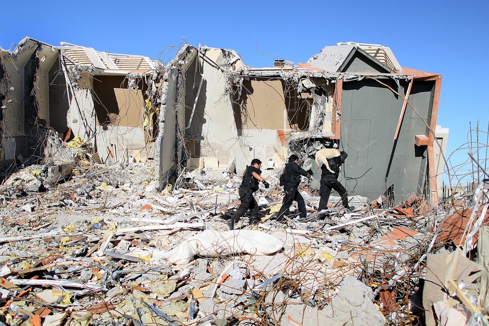 PURPURA : TERREMOTO: LA FALLA DE SAN ANDRÉS