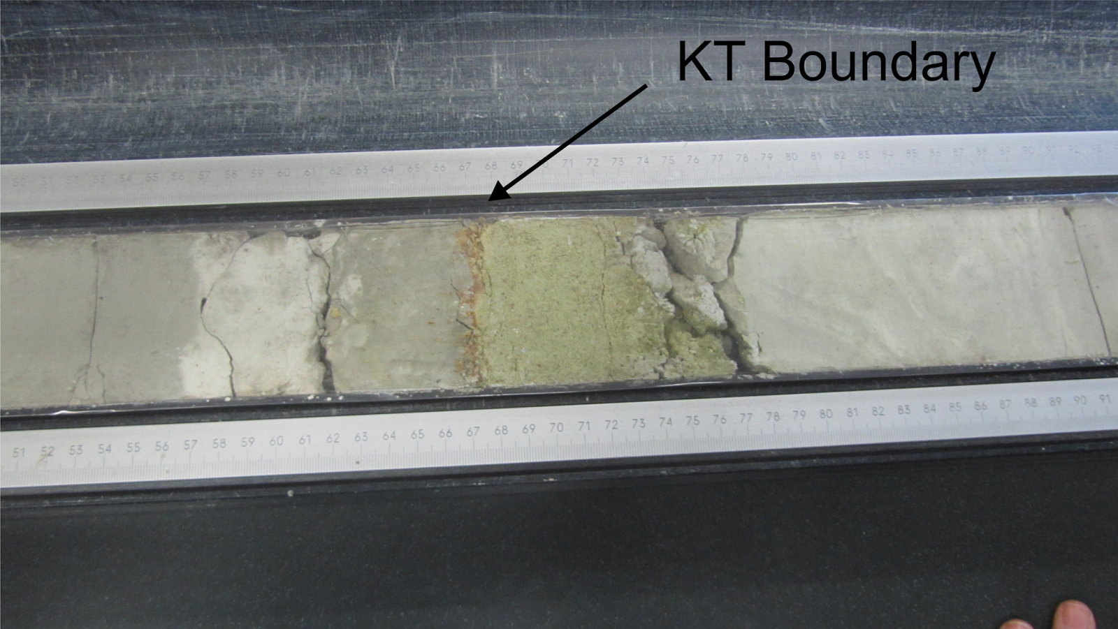 The Life and Times of a (Trainee) Geologist: Bremen Core Repository