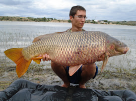 MadridCarp, Carpfishing made in Spain