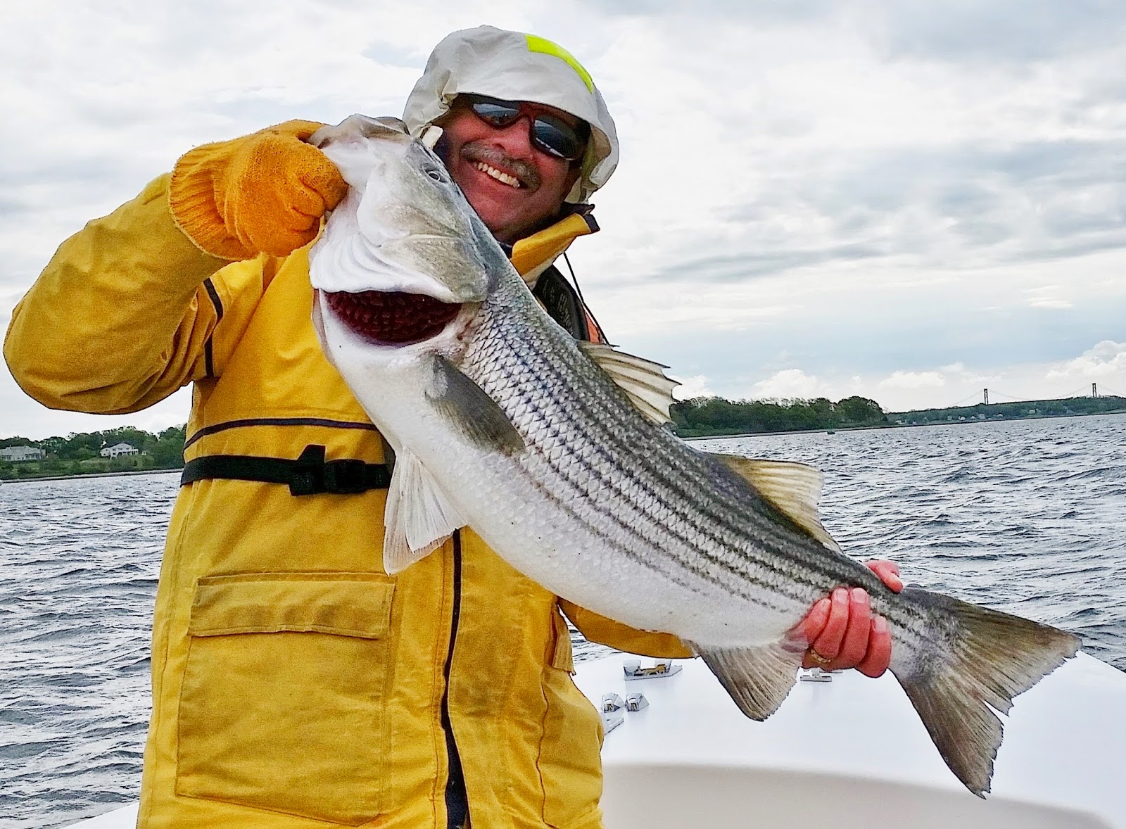 no fluke fishing: Favorite ways to catch and release striped bass