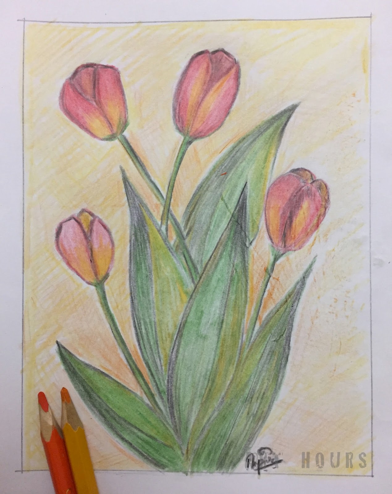 ArchGuide: Sketching Tulips - Pencil Shading Guide