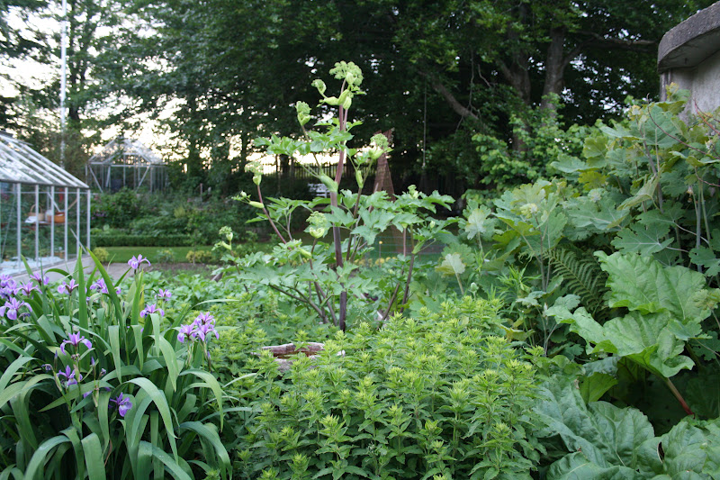 Dalgaardens Have: Kvan