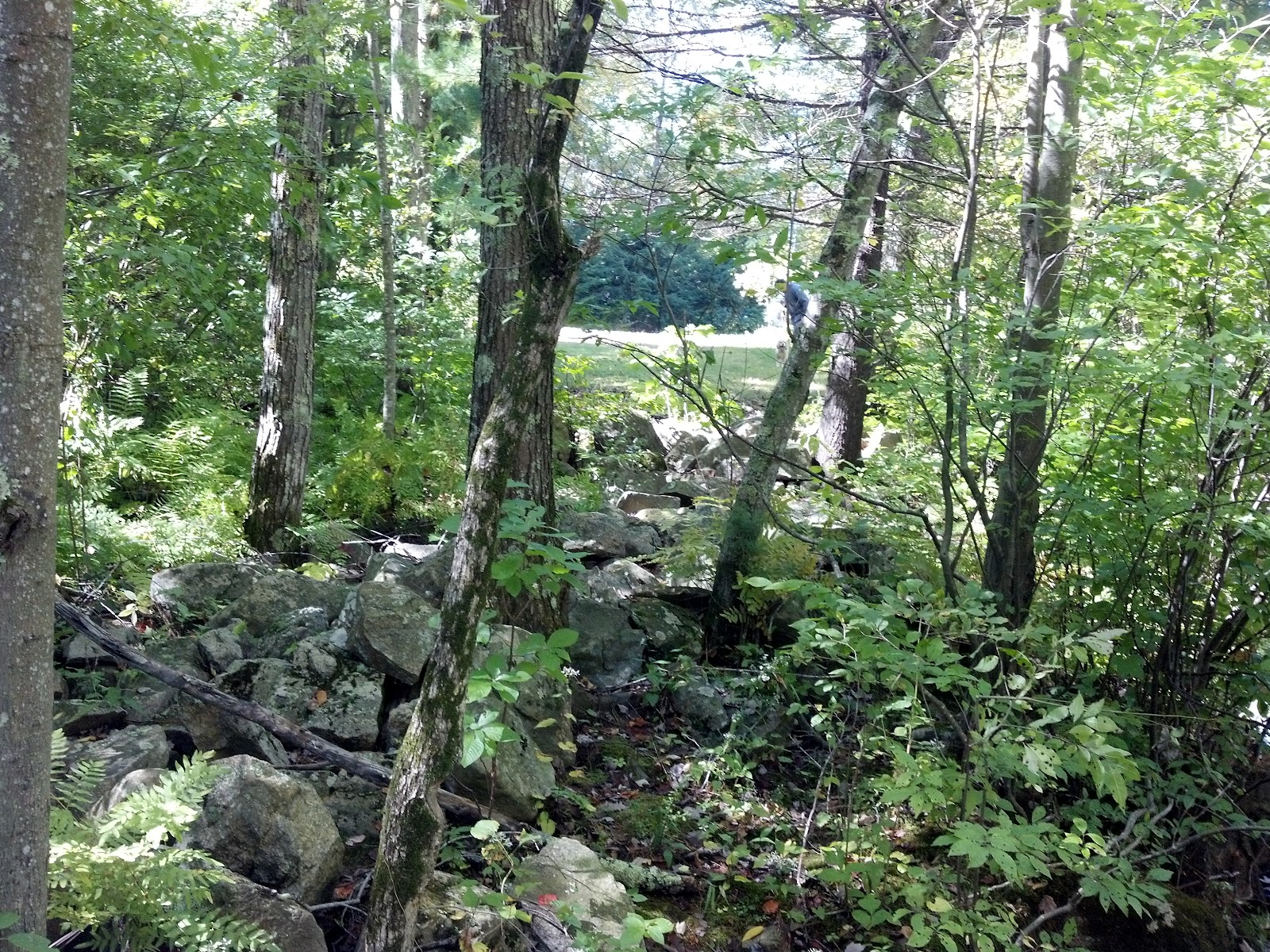 Lori's Tip Talk: Lake Potanipo Brookline, New Hampshire