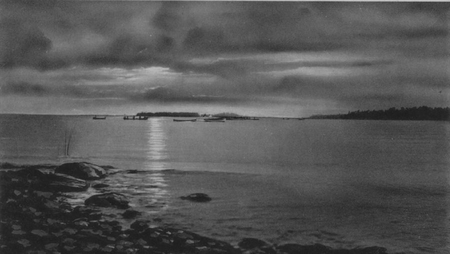 Future Plants by Randy Stewart: Bruce Peninsula of Ontario, Canada