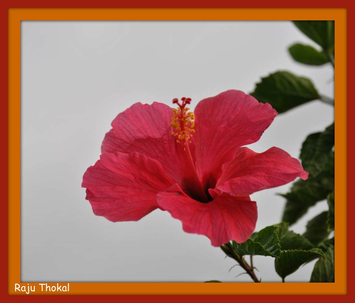 शिवस्पंदन युवा: Parashar Agritourism, Rajuri, Tal Junnar (Pune)