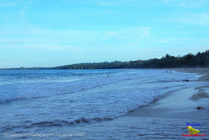 Playa Cocles de Limón | Explore Costa Rica