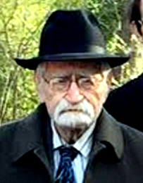 Daas Torah - Issues of Jewish Identity: Rav Nota Greenblatt: Problem of ...