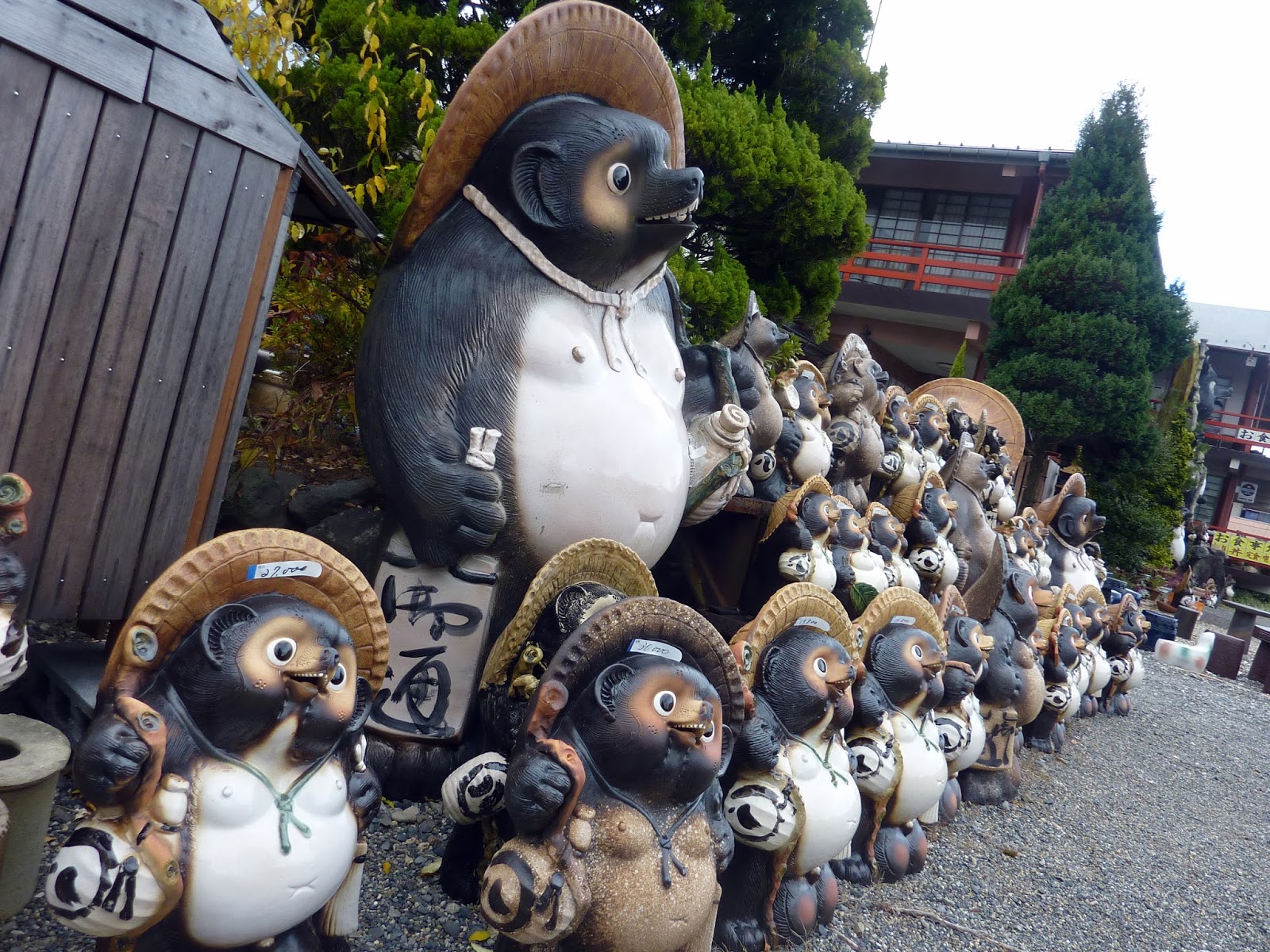 Murasaki no Sekai: Yokai à l'honneur (3) - Les tanuki