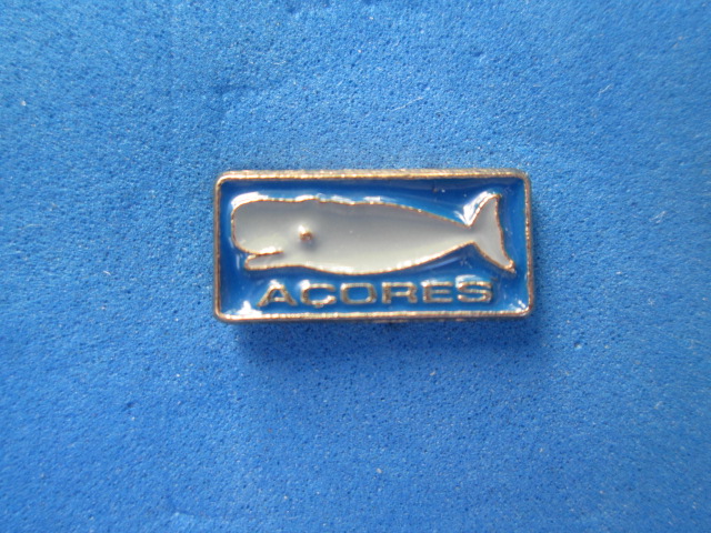 PINS DO JOAO: Cachalote - Açores - Portugal