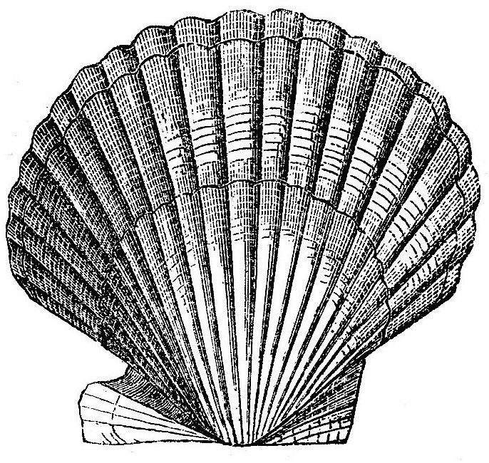 Chaptre, The 18th - The Olde English Foljambe Coate of Arms