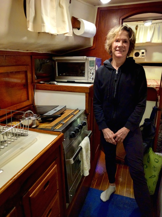 Joy Bergmann: Docked at the 79th Street Boat Basin in the Deep Freeze ...