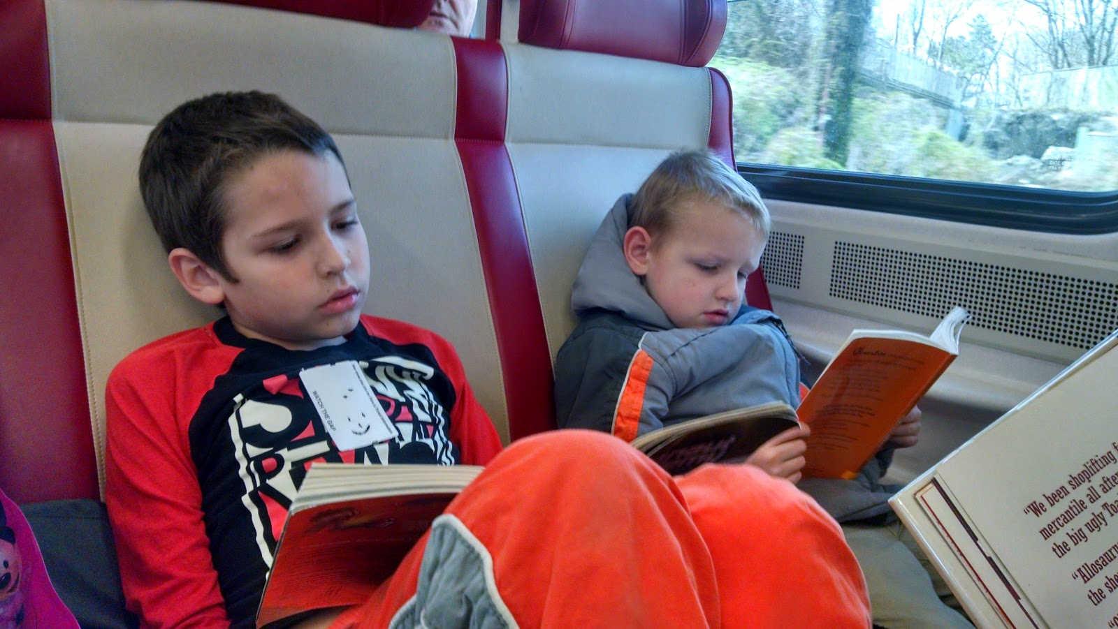 Everead: Reading on the Train
