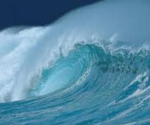 Maredolce: L'ACQUA DI MARE