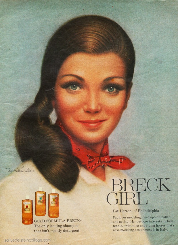 RETRO-A-RAMA: The Breck Girl