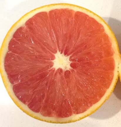 Tickled To Tangle: Citrus - A Juicy New Tangle