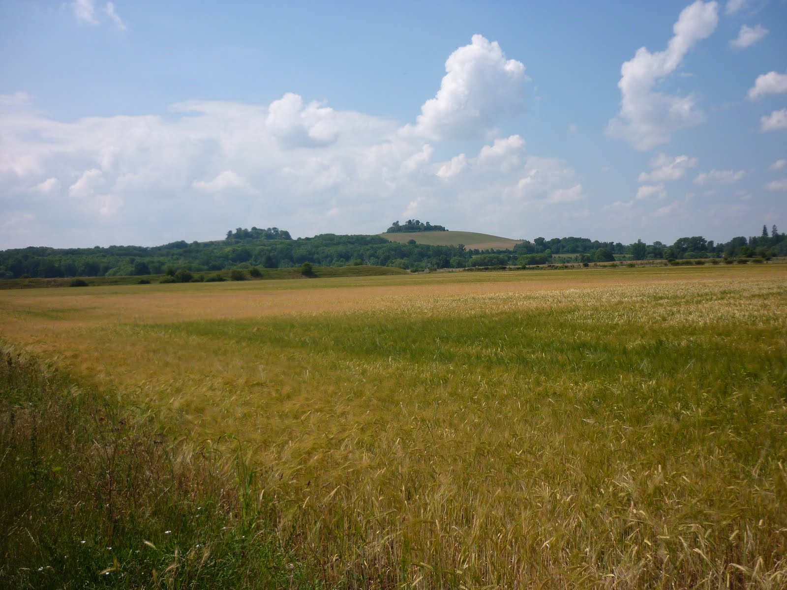stile guru: random rambles of a weekend walker: Walk 10: Dorchester and ...