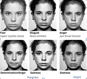 CEAP: A Ciência das Expressões Faciais das emoções e Micro-expressões ...