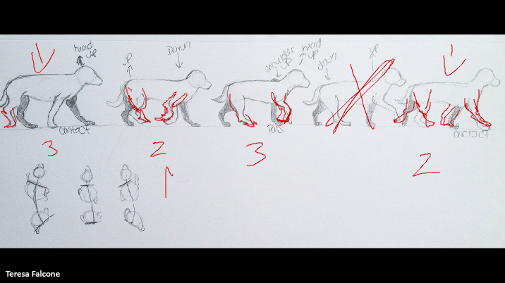 Teresa Falcone Animation: Week 4- Dog Walk Planning/ Poses