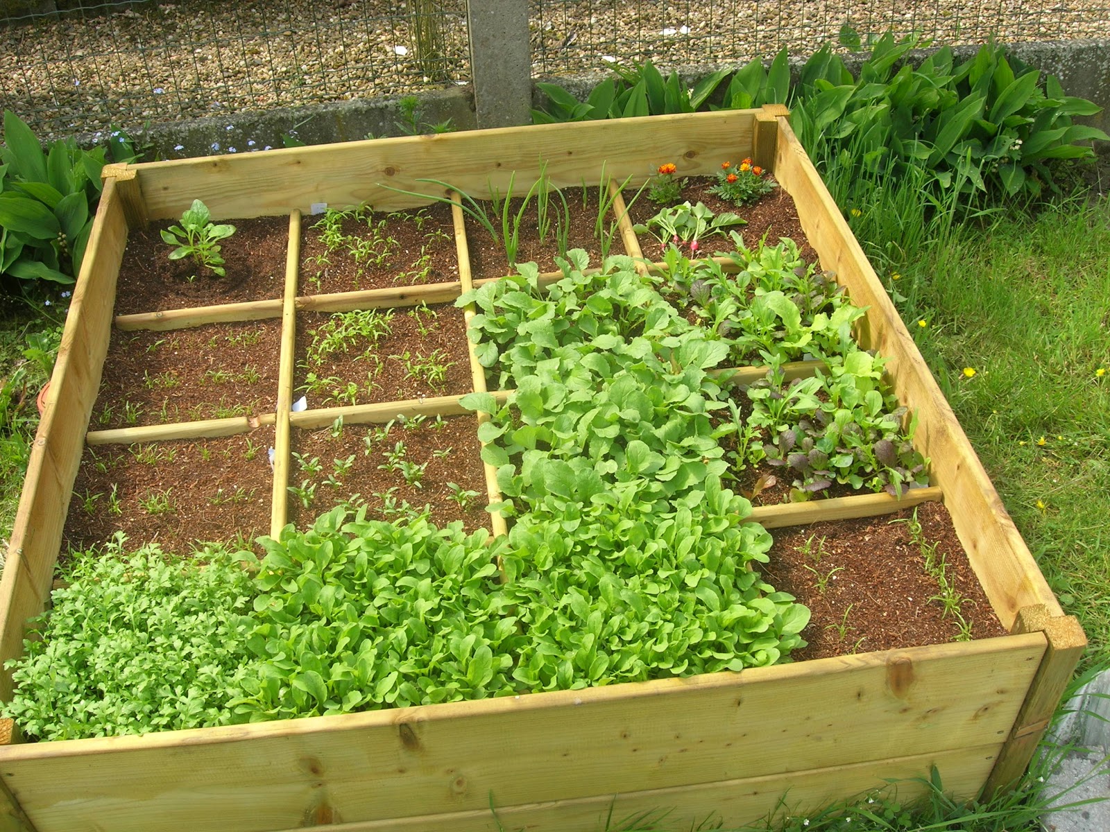 Le jardinage écologique avec ECOstyle: Première récolte!