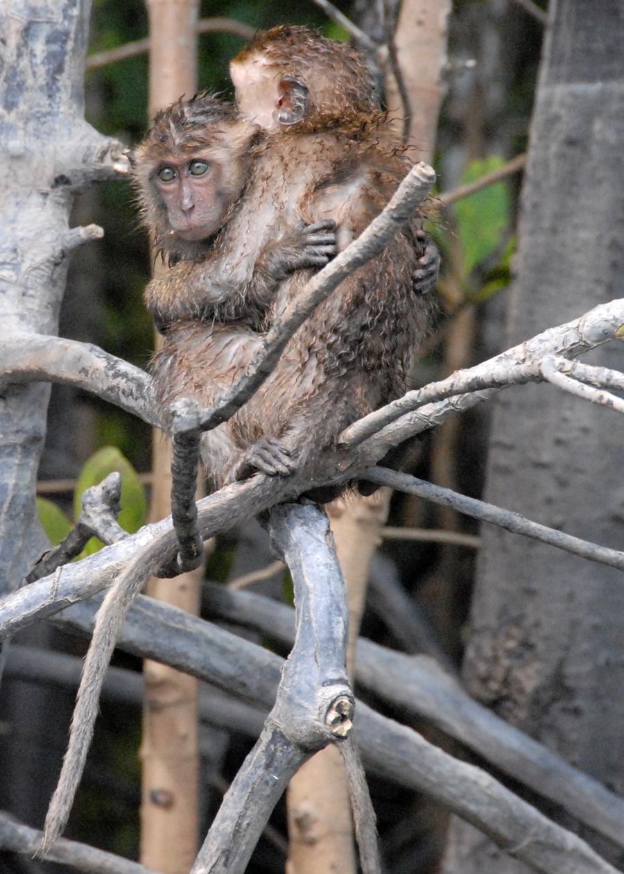 21 Animal hugging pictures (21 pics) | Amazing Creatures