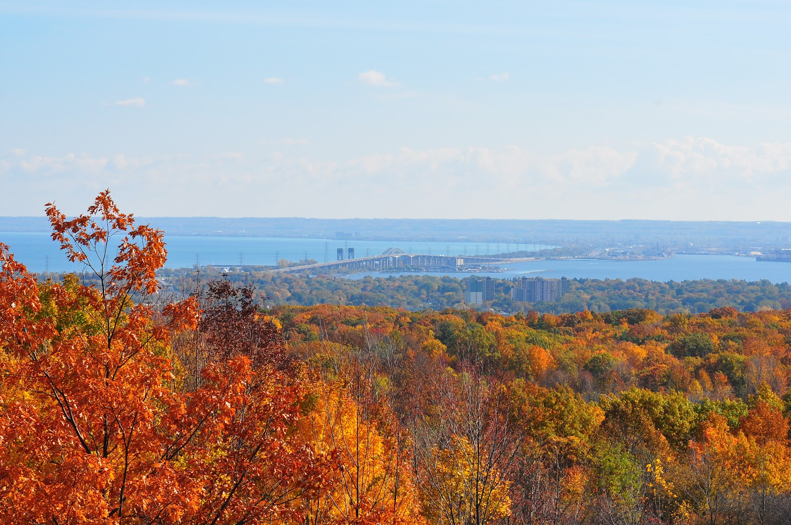 Discover Burlington Ontario: What to do in Burlington on Thanksgiving ...