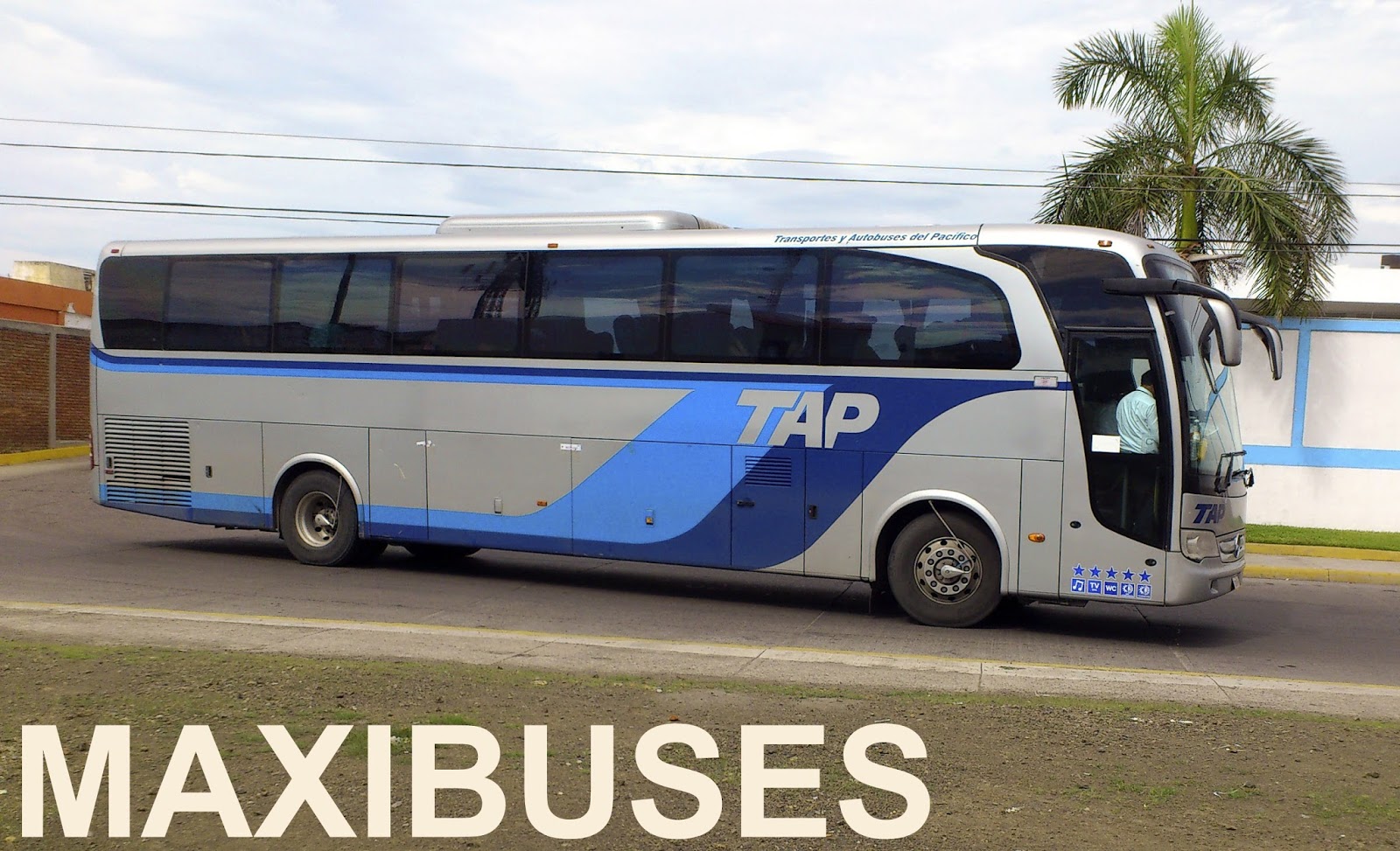 MAXIBUSES: TRANSPORTES Y AUTOBUSES DEL PACÍFICO (TAP)
