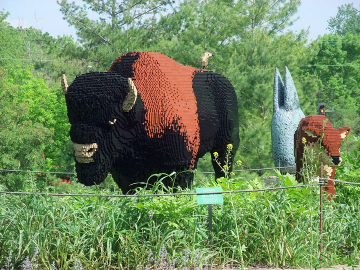 Gypsies At Heart: Reiman Gardens