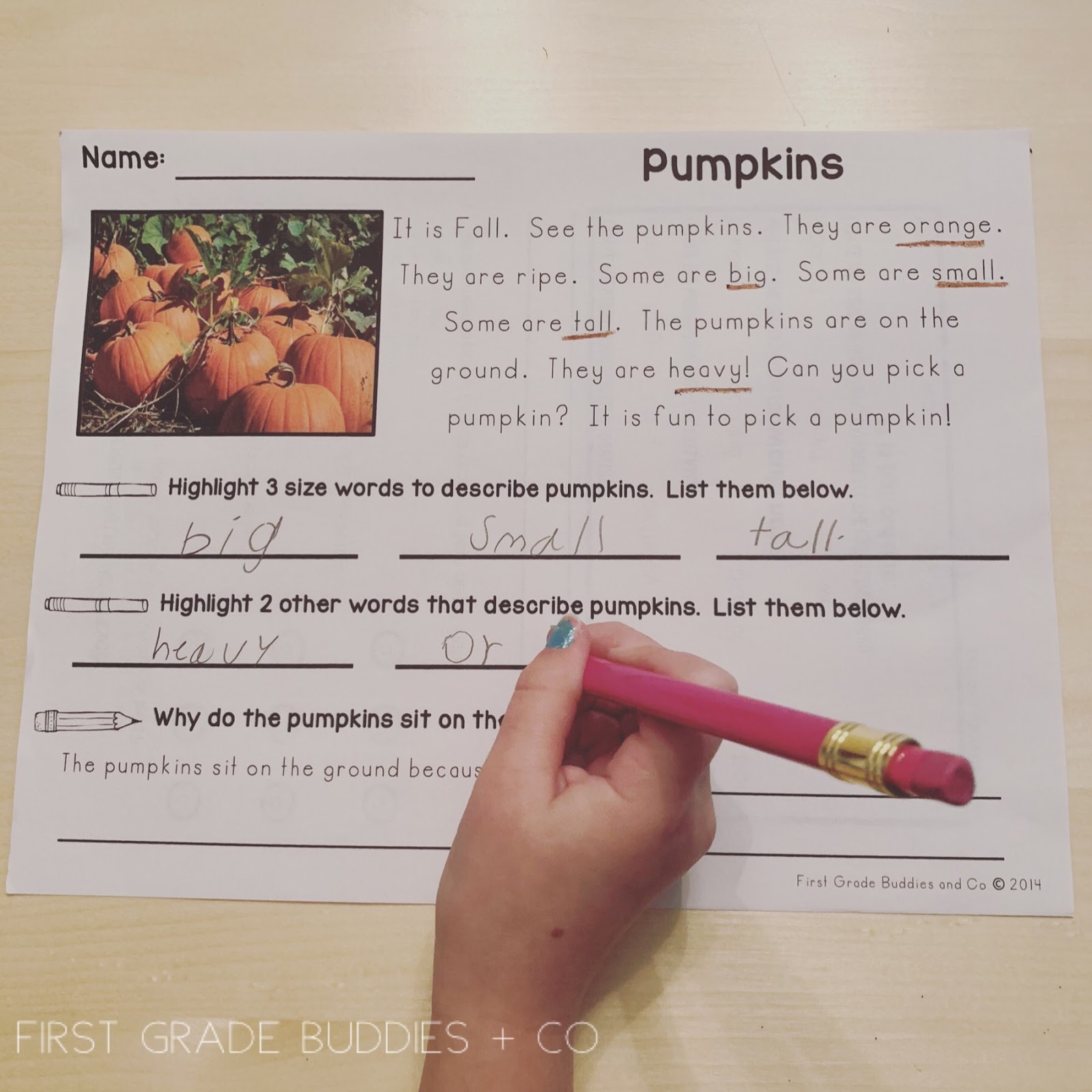 Pumpkins! | First Grade Buddies