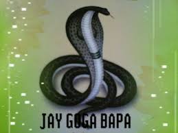 HD Best wallpaper: GOGA maharaj HD Wallpaper Photos