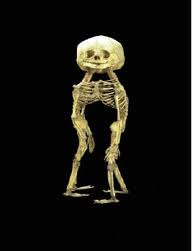 FUN TO BE BAD: Weirdest Museum in the World....The Mutter - Philadelphia