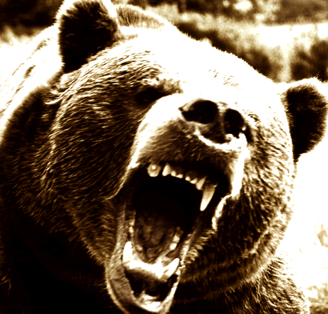 Lone Star Parson: Elijah and the bears