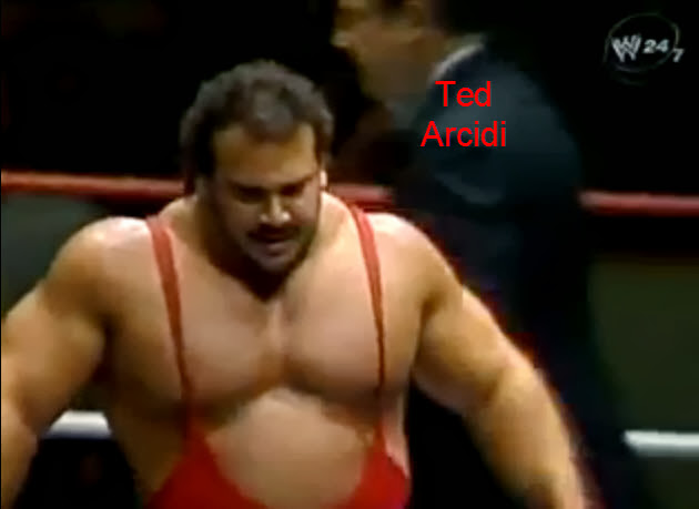 ProWresBlog: WWF Boston Garden 4/26/1986 - Ted Arcidi vs Big John Studd