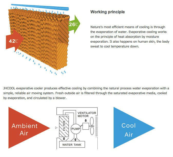 solar cooling system for Poultry Control Shed Equipment 923007318908 ...